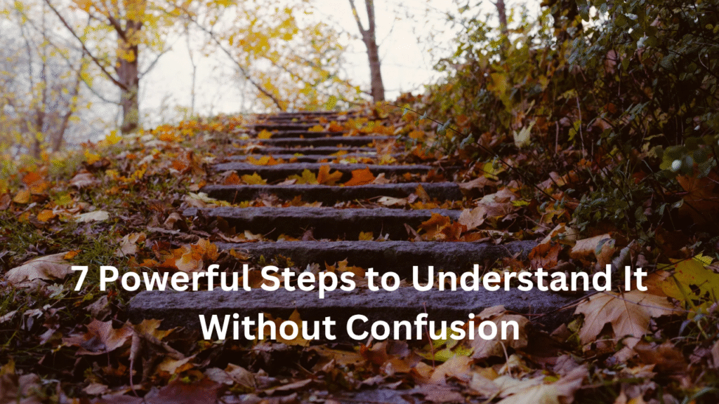What Order to Read the Bible: 7 Powerful Steps to Understand It Without ...