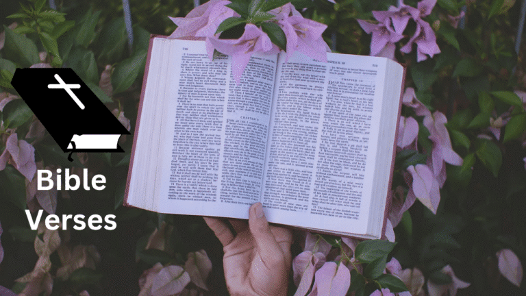 10 Bible Verses About Knowledge: Unlock Godly Wisdom for Life