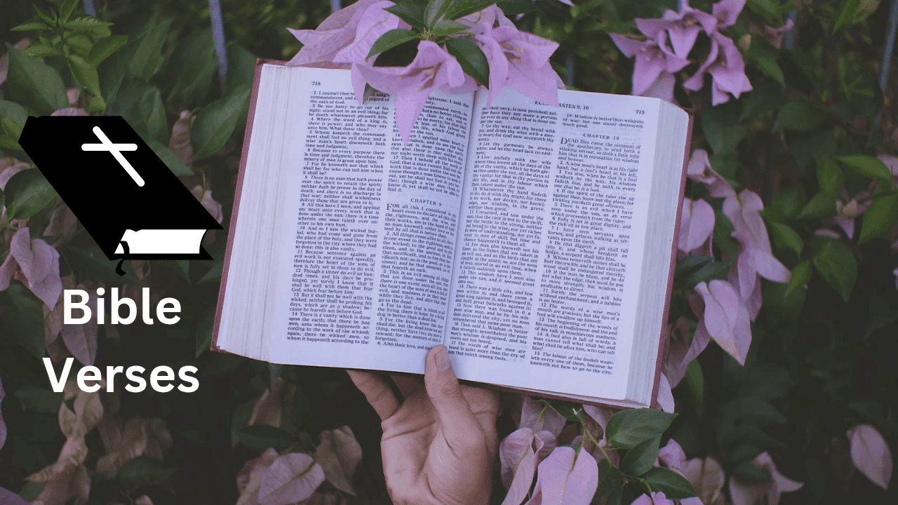 10 Bible Verses About Knowledge: Unlock Godly Wisdom for Life