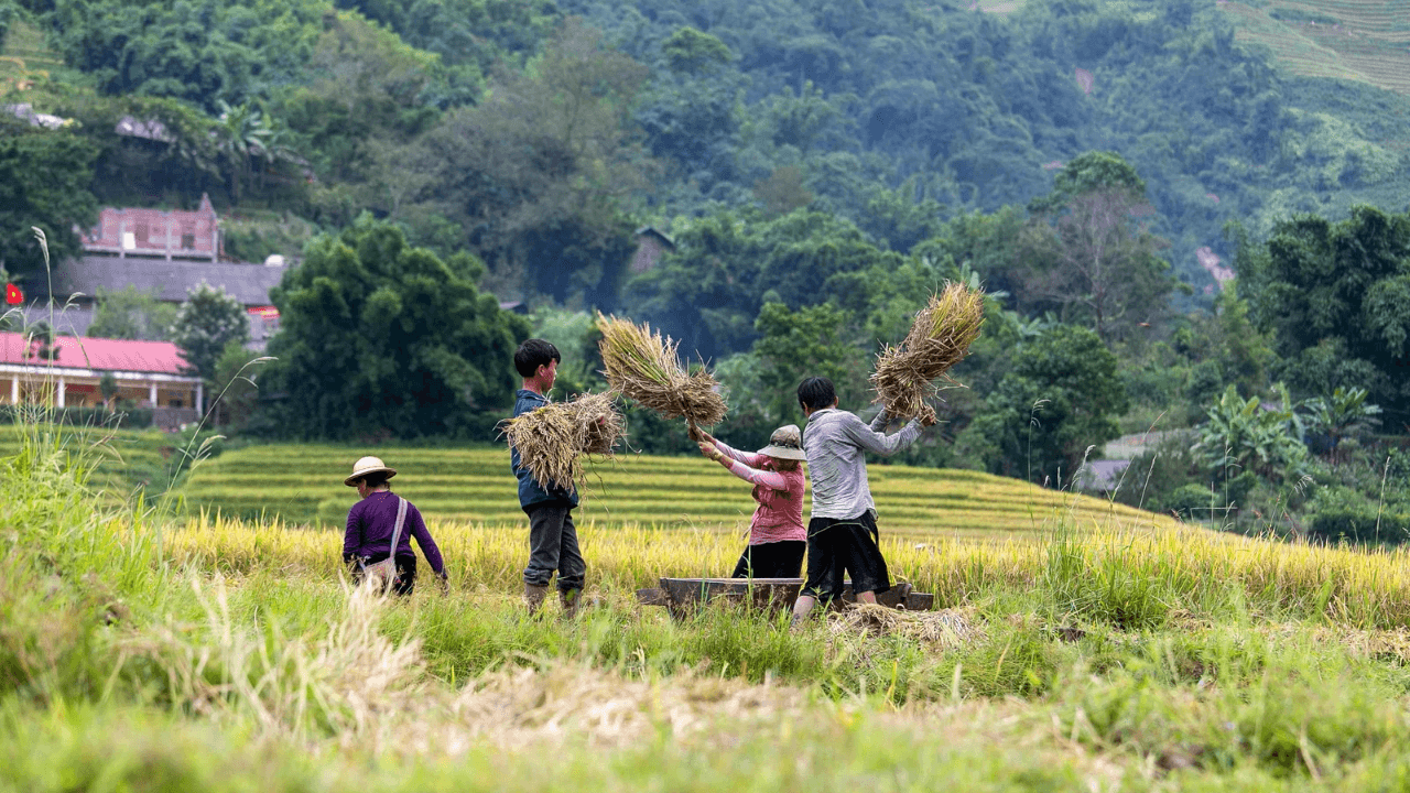 How to Understand God’s Plan in Difficult Seasons (A Hope-Filled ...