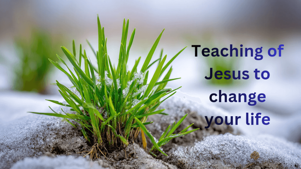 7 Powerful Teaching of Jesus to Change Your Life and Renew Your Spirit